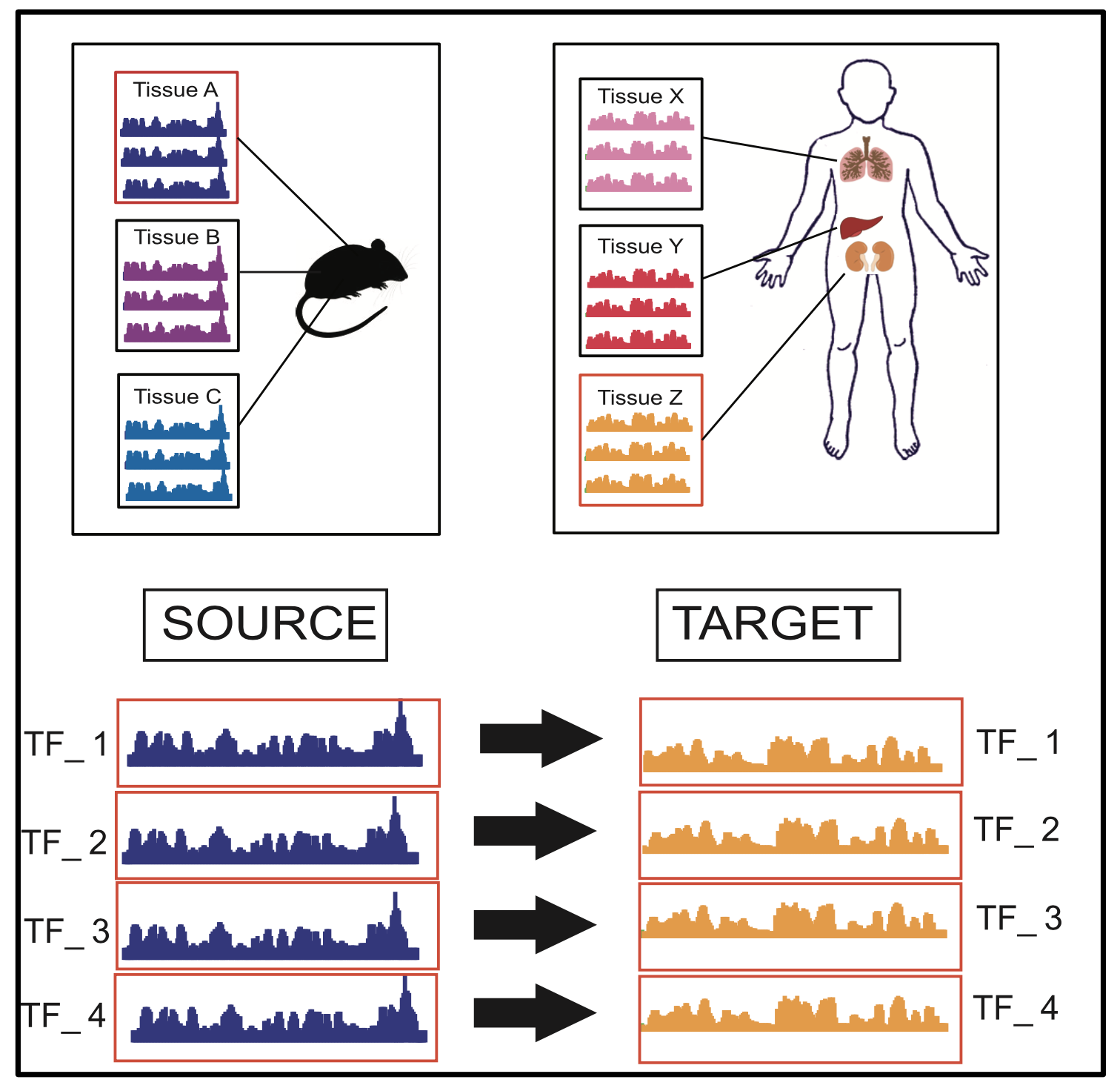 TSK- Transfer String Kernel for Cross-Context DNA-Protein Binding Prediction · deepchrome.net/