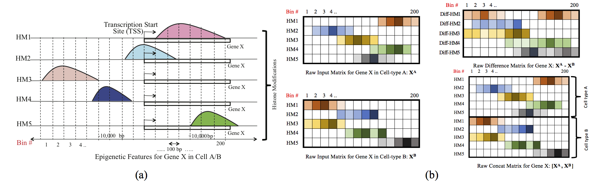 DeepDiff- Deep-learning for predicting Differential gene expression ...