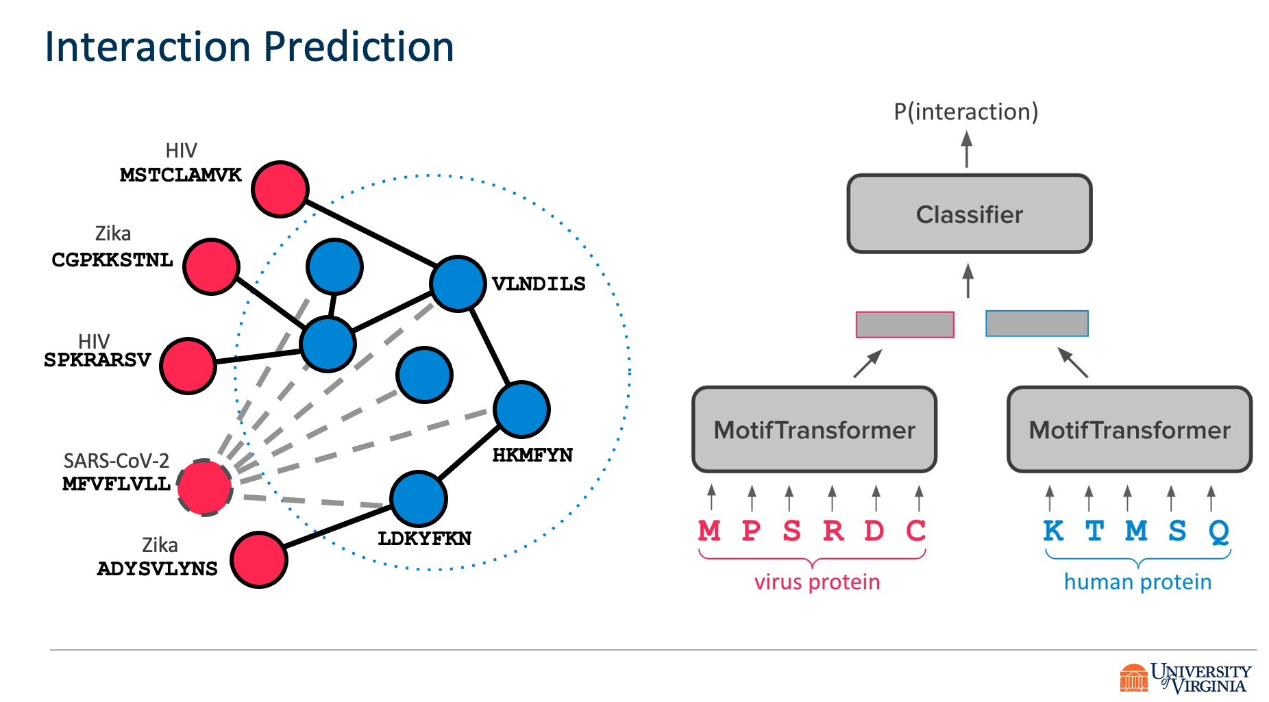 ACM BCB - Transfer Learning for Predicting Virus-Host Protein Interactions for Novel Virus ...