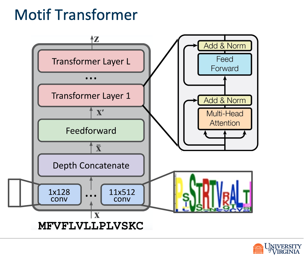 ACM BCB - Transfer Learning for Predicting Virus-Host Protein ...