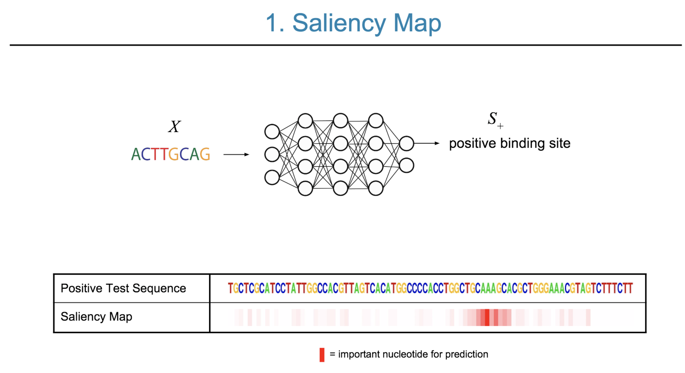 Psb Deep Motif Dashboard Visualizing And Understanding Genomic Sequences Using Deep Neural